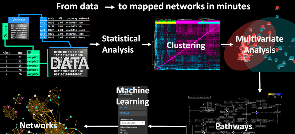 Network mapping 101 hands-on course and DAVe in review | CDS - Creative Data Science